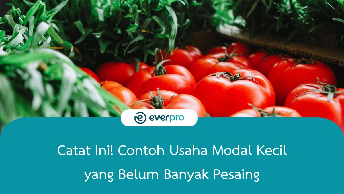15+ Contoh Usaha Modal Kecil yang Belum Banyak Pesaing