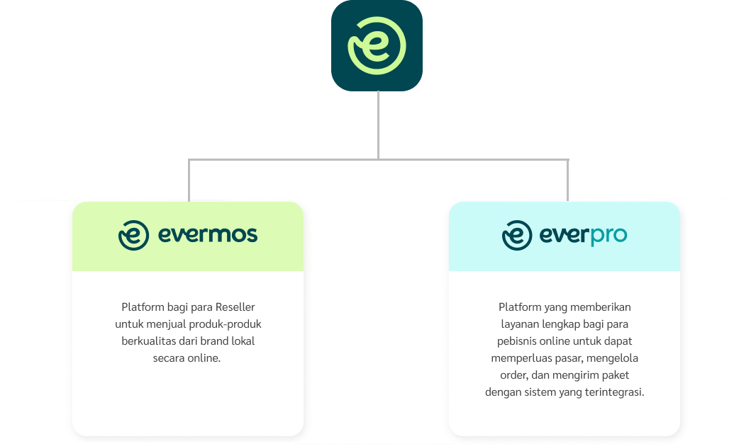 Evermos: Cari Tahu Lebih Banyak Tentang Kami